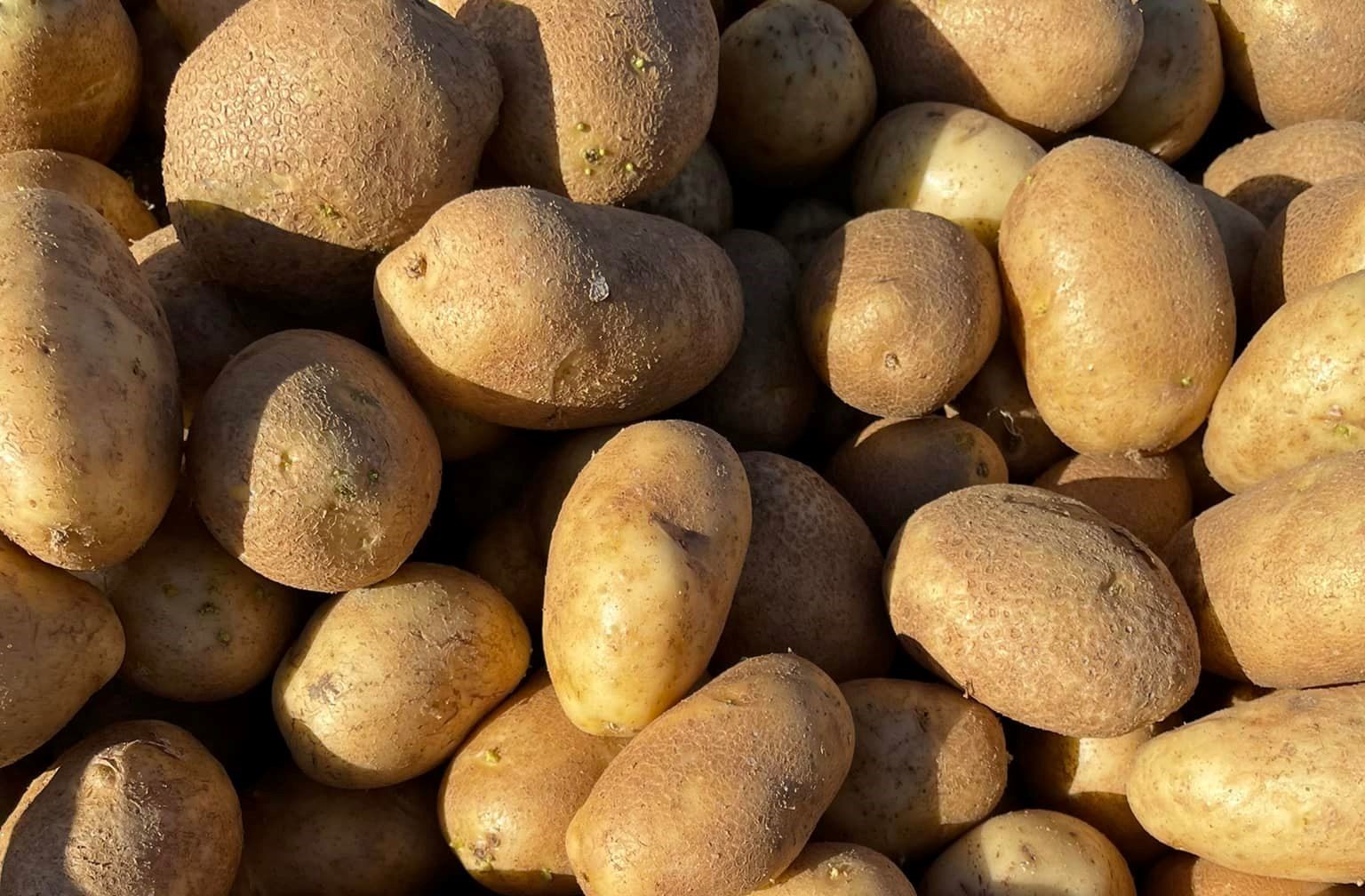 The Potato Caboose – A Baked Potato Food Trailer from Western Massachusetts